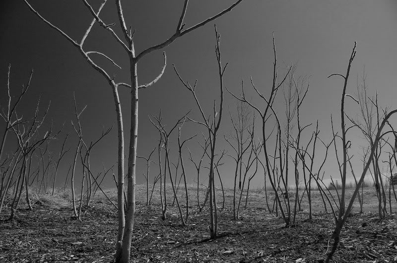 Desolasi (Kesepian Rohani) – A Pathway to God