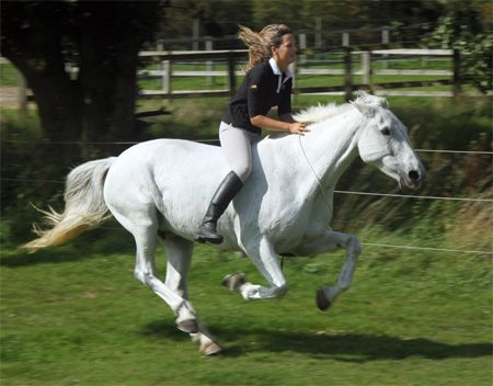 Free Rein Style – A Pathway to God